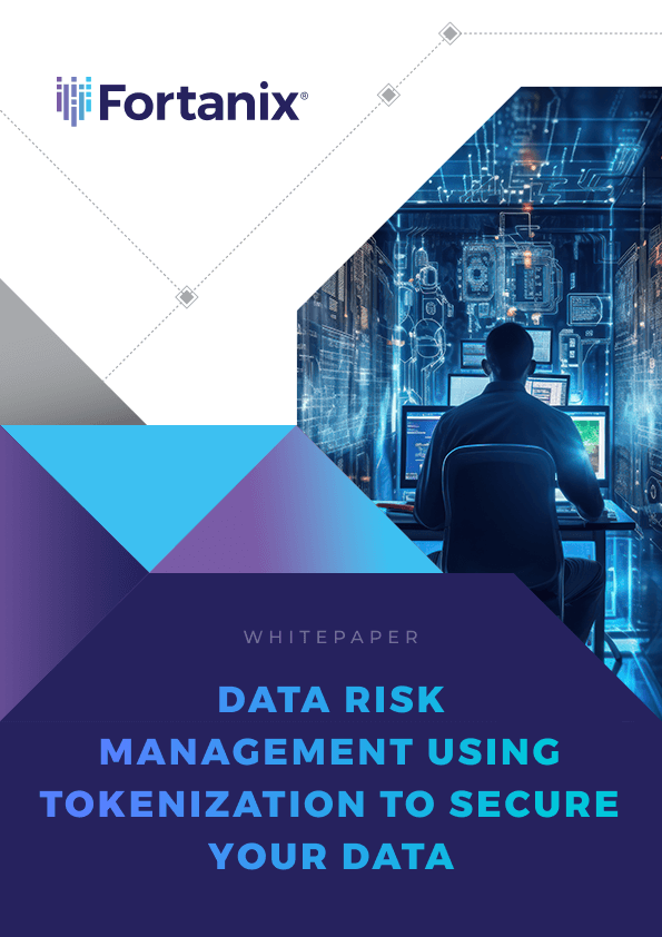 Data Risk Management Using Tokenization to Secure Your Data | Whitepaper